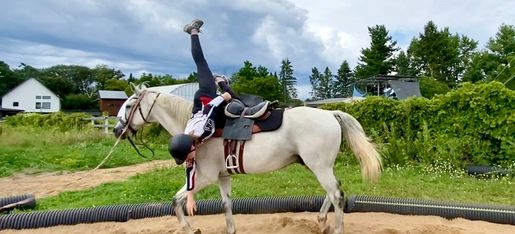 EQUESTRIAN TRICK RIDING