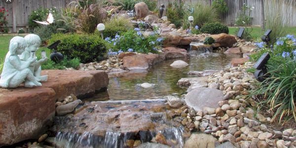 The Natural Swimming Pond Builder - Koi Ponds, Natural Swimming Pond