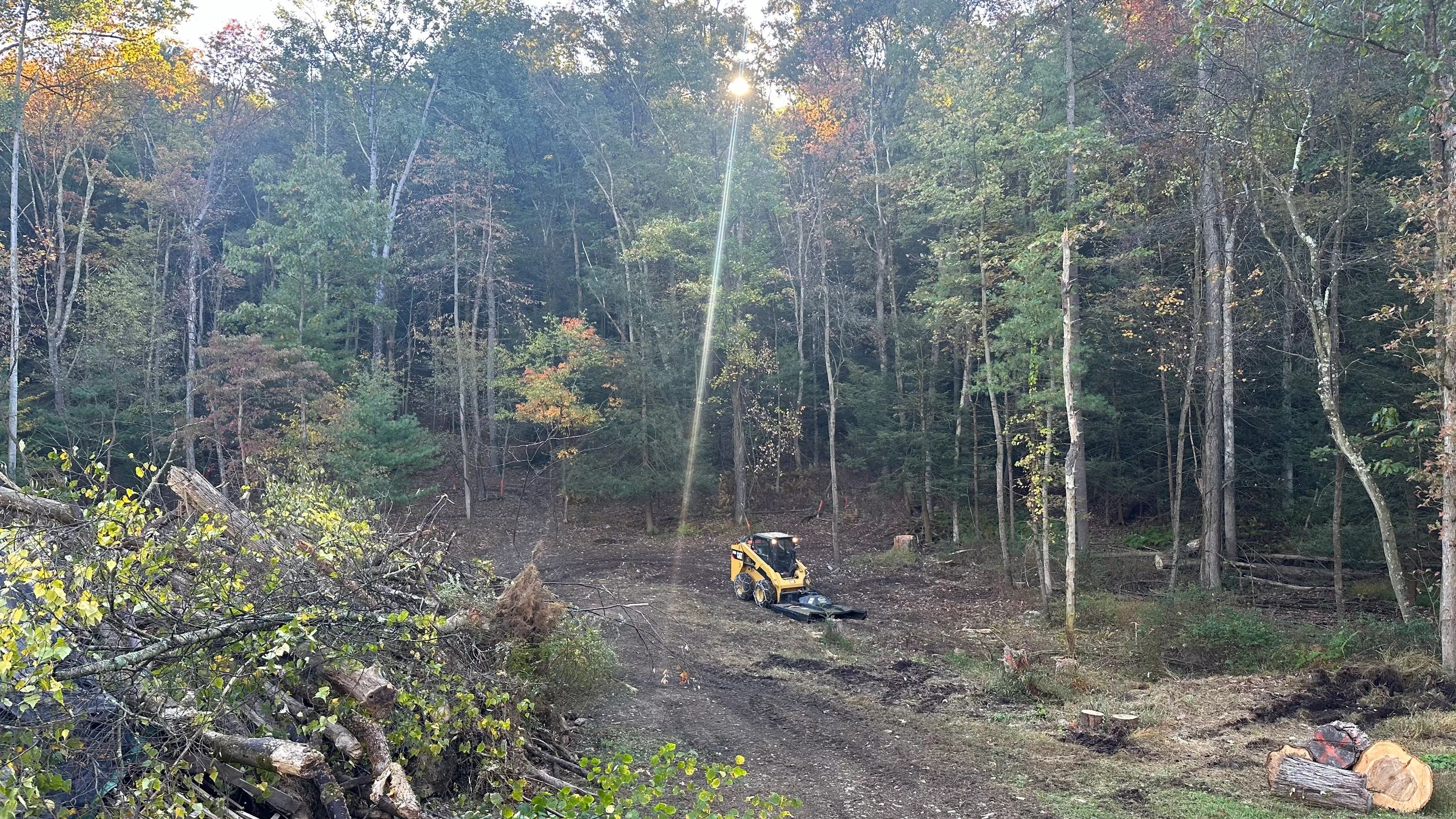 Expert Land Clearing | GPI Forestry