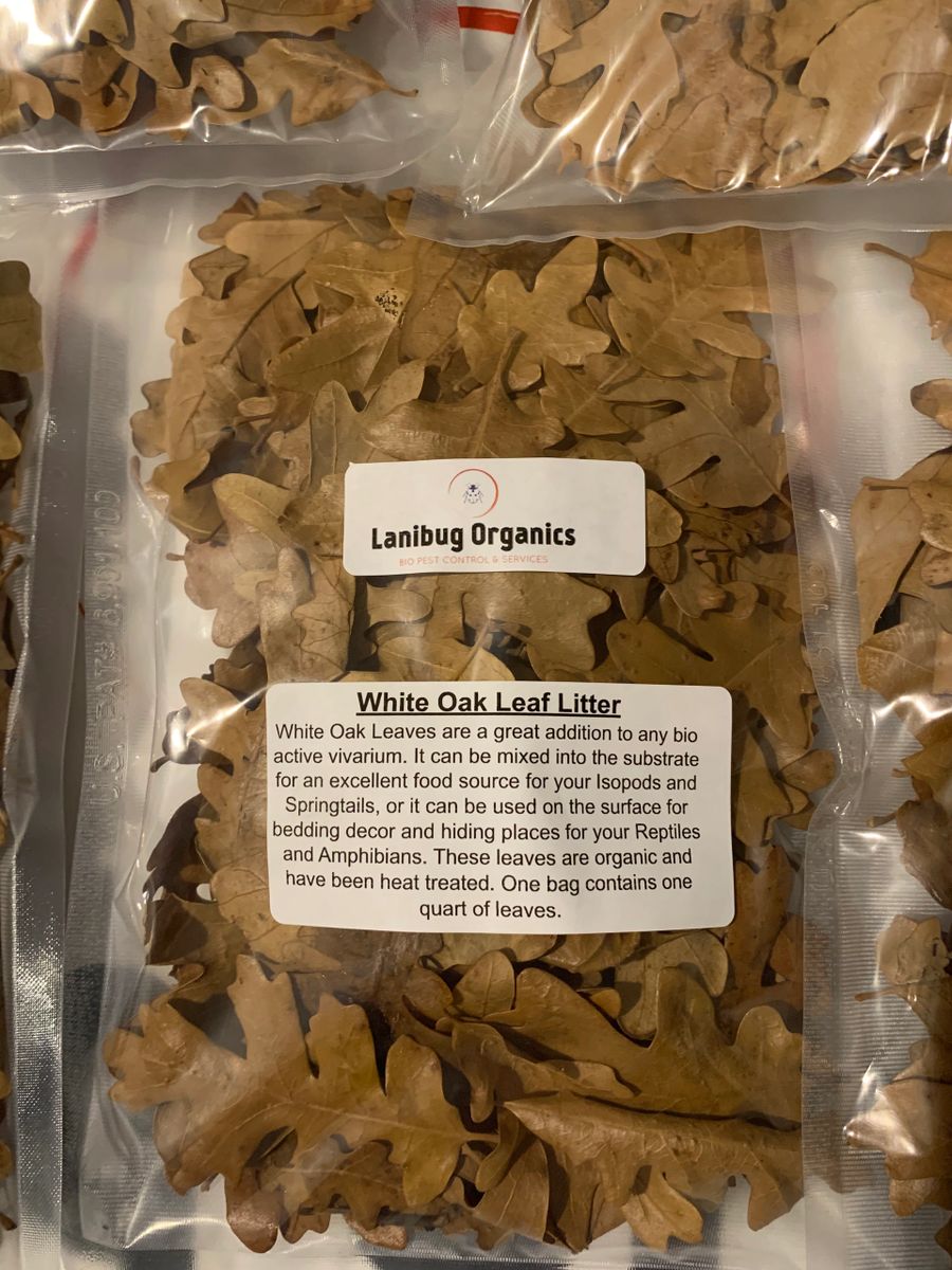 1 Quart White Oak Leaf Litter