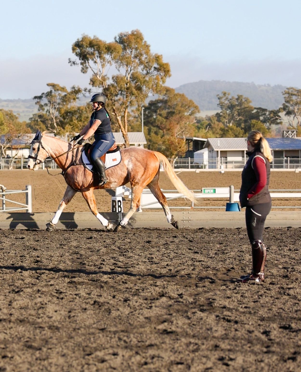 Lesson bookings | The Every Equestrian Project