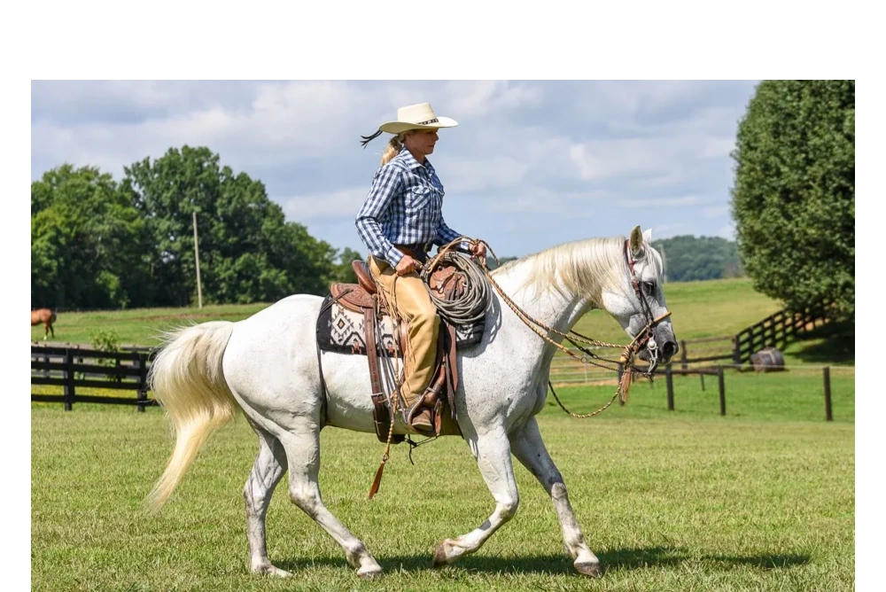 Rebecca Talbert Horsemanship