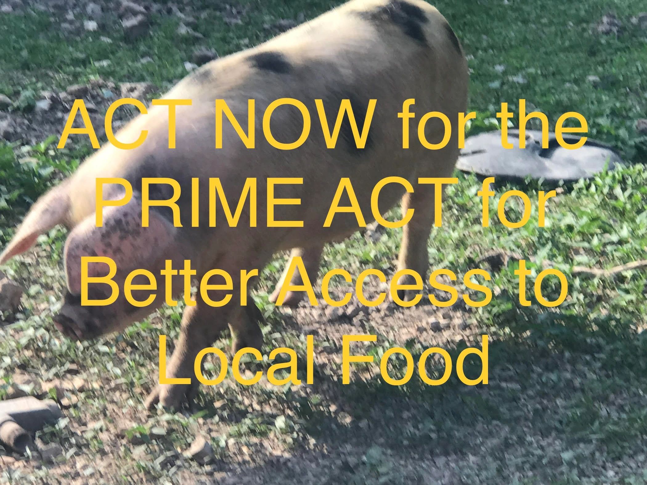 PRIME Act would significantly increase access to local food
