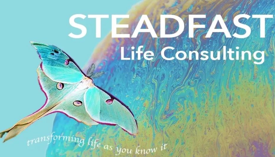 The STEADFAST Process