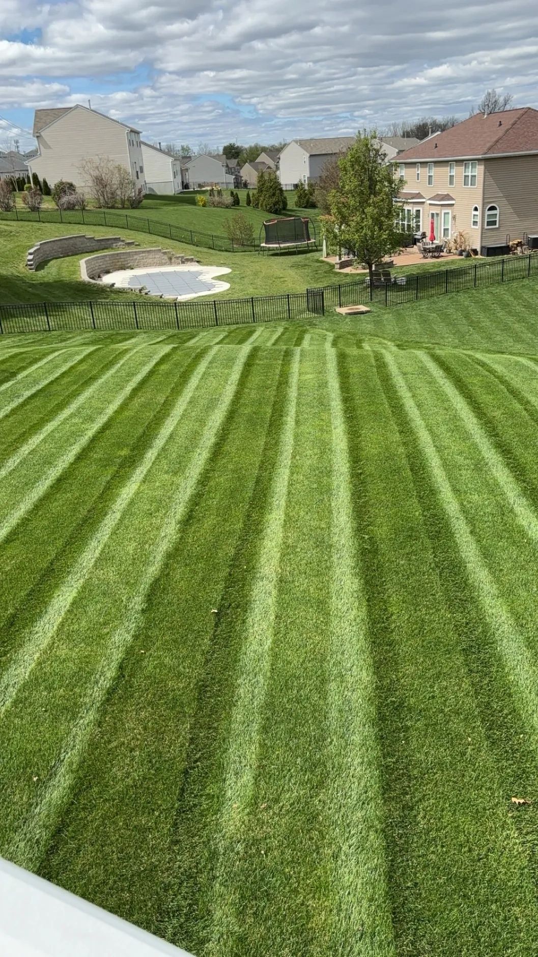 Lions Lawn Care