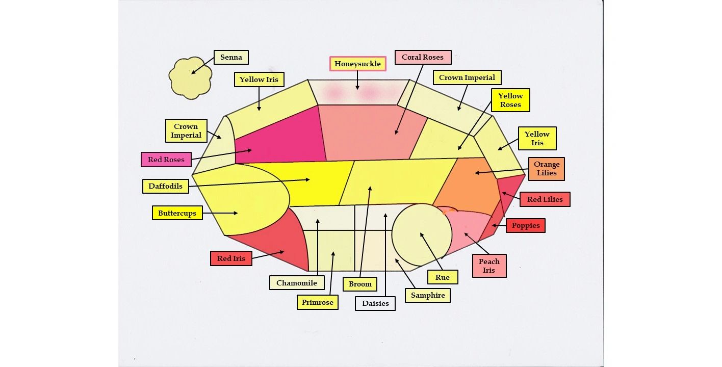 "Titus Andronicus" Hot Color Garden