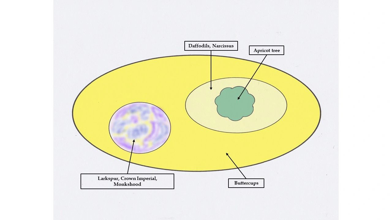 "Macbeth" Poison Garden