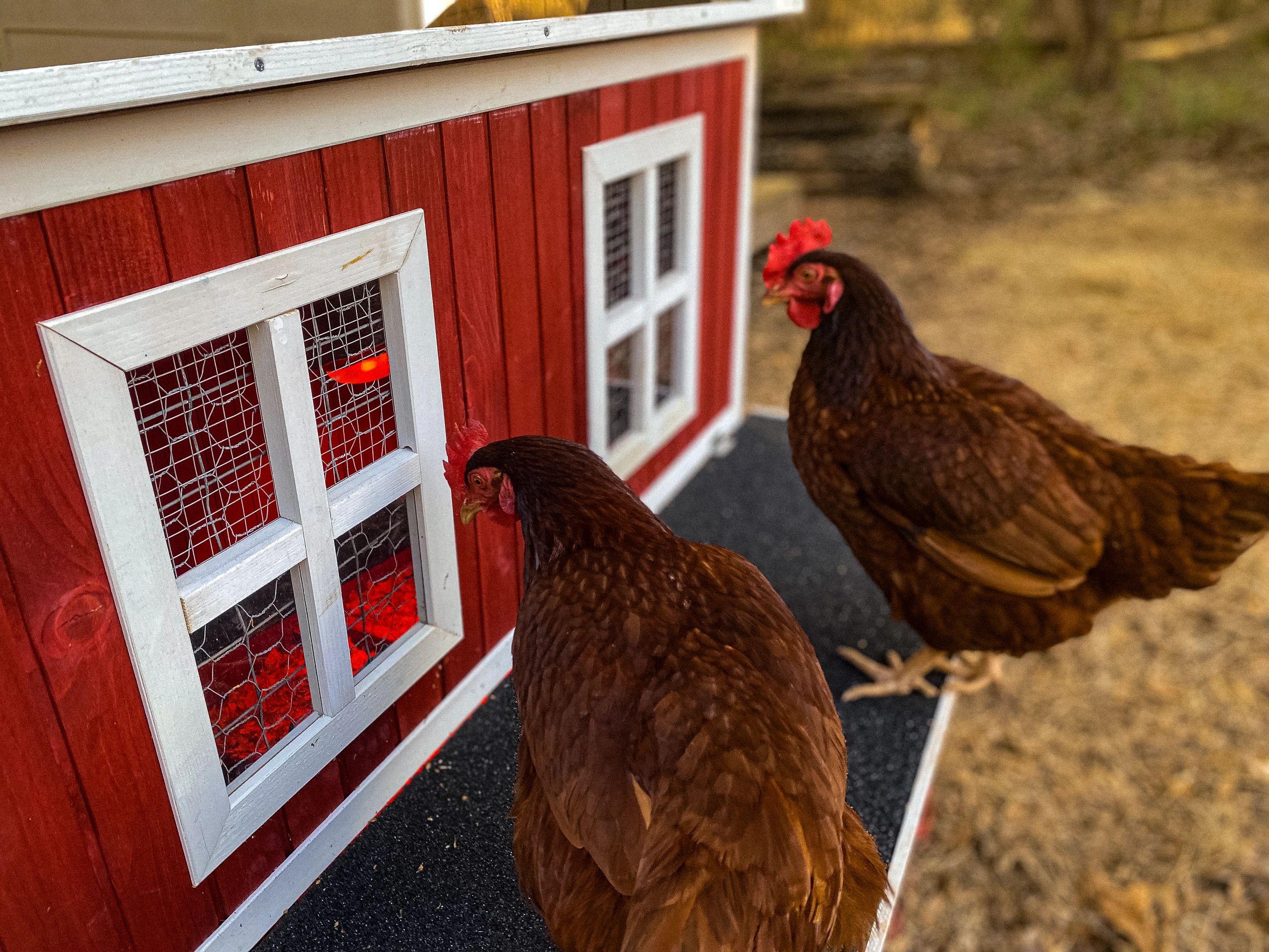 About | Allen Acres Farm & Co. Resort