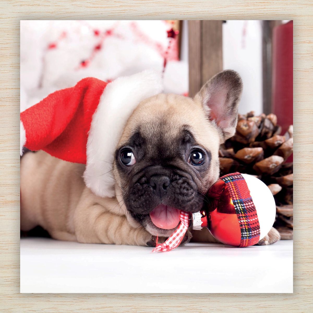 French Bulldog Christmas Cards and Packs | Frenchie Xmas Cards "This ...