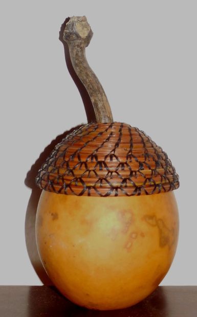 Friday All Day/Morning | The Gourd Gathering at Cherokee