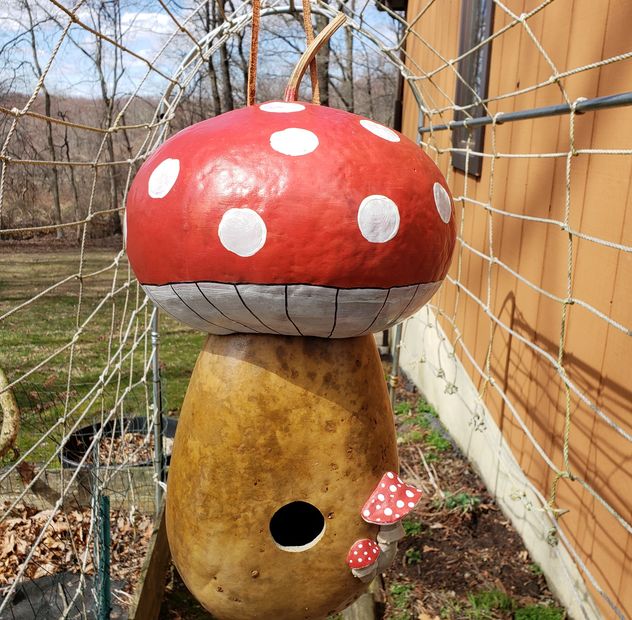 Friday All Day/Morning | The Gourd Gathering at Cherokee