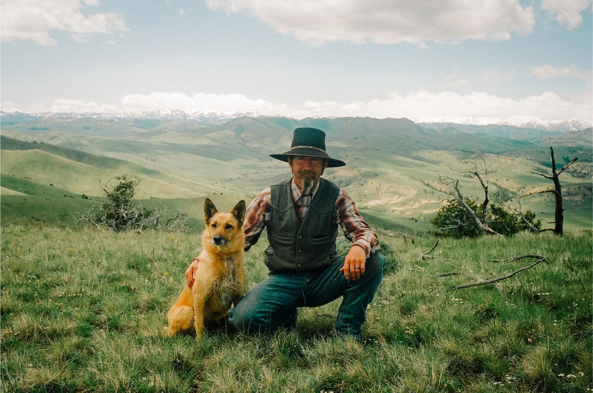 Contact | American Legacy Pets