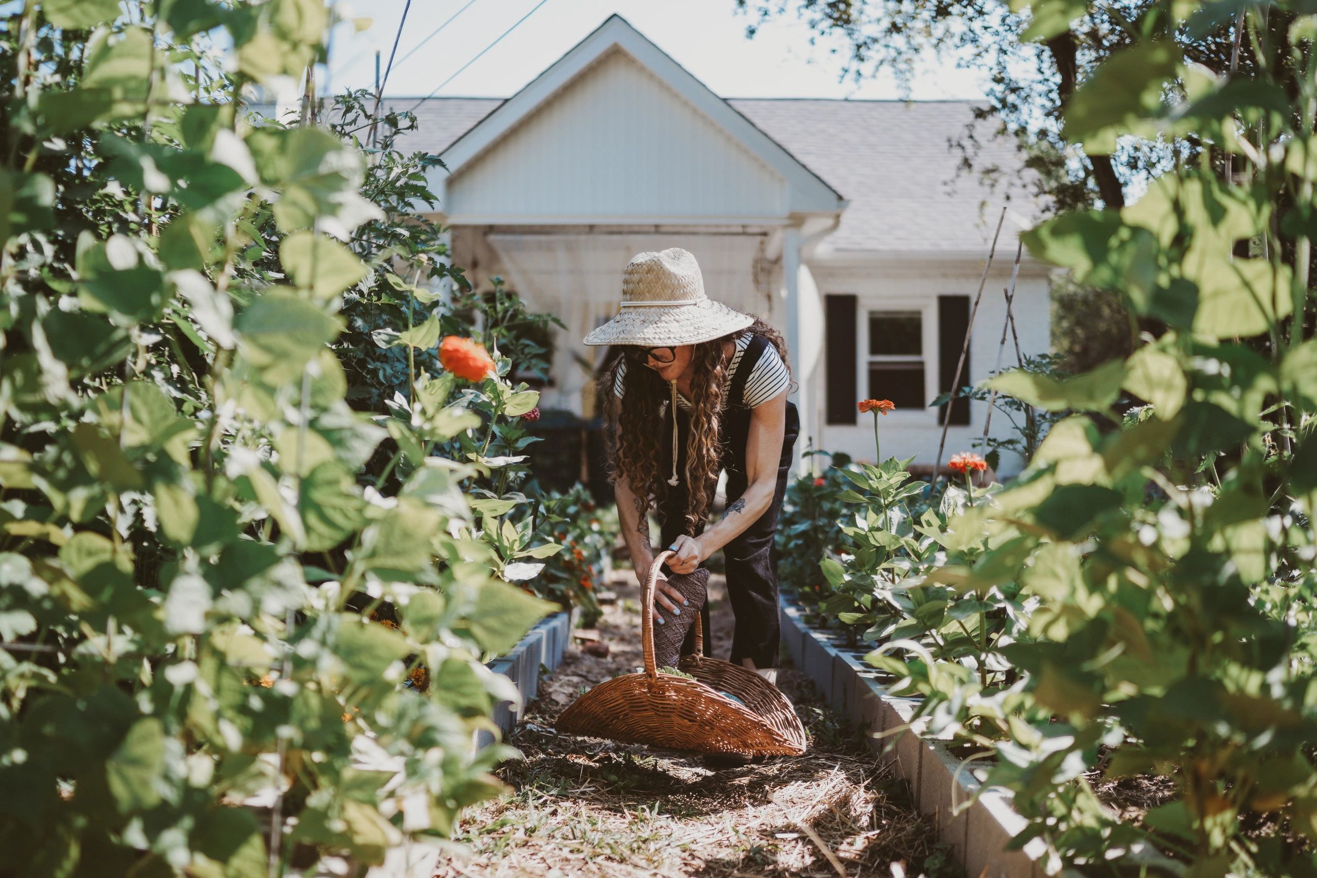 Humble hive Consulting - Permaculture Design, Edible Landscape Design