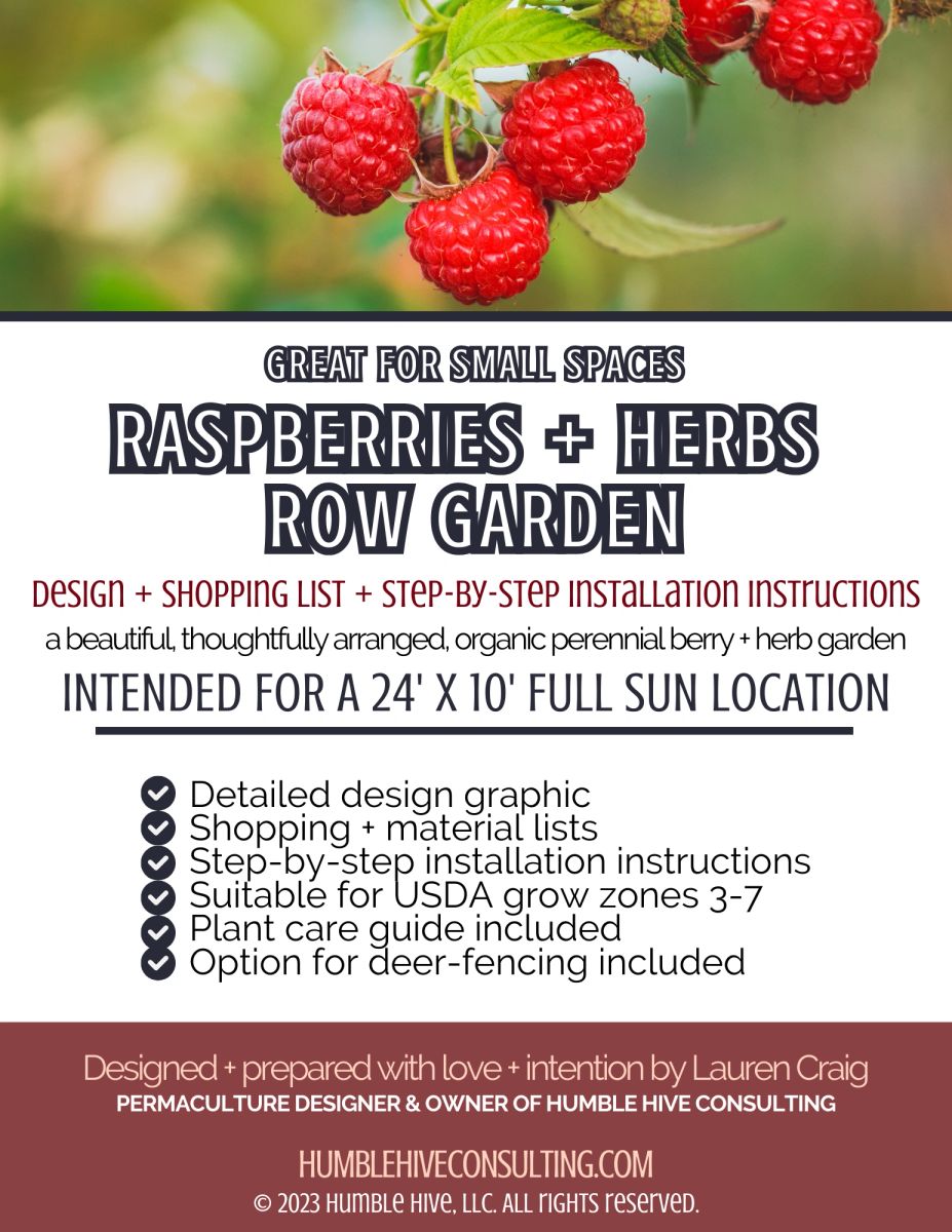 Small "Raspberries + Herbs" Row Garden Design, 24' x 10' (with ...