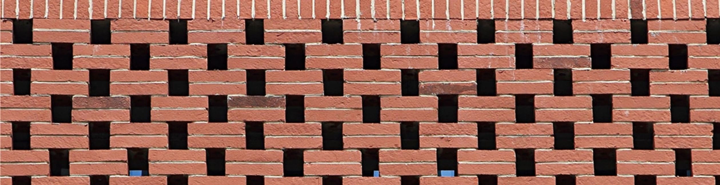 Facing Bricks Manufacturer Clay Facade Bricks | China Leiyuan