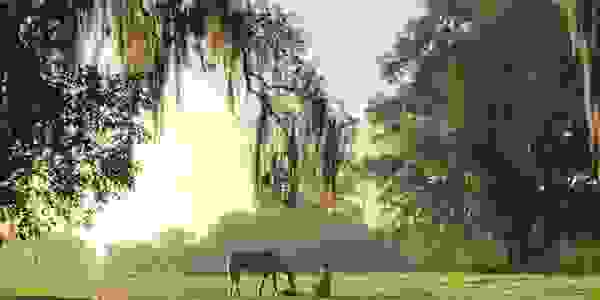 River Road Ranch - Rest and Ride, Ranch Resort, Horseback Riding