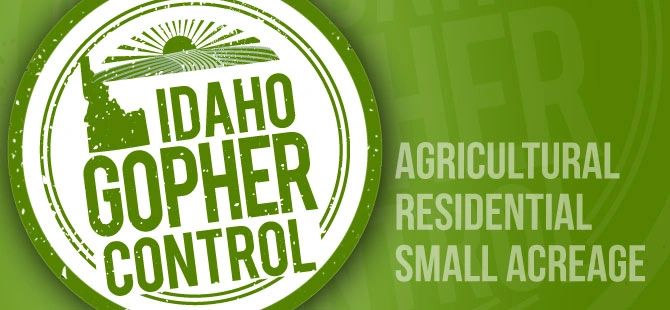 Idaho Gopher Control - Exterminator, Gopher and Vole Control