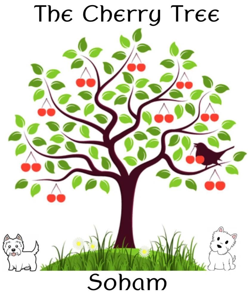 Cherry Tree - Pub Restaurant - Soham, England