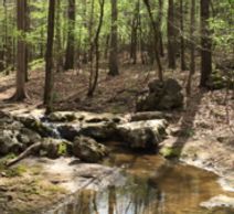 Historical Sites | St. Stephens Historical Park