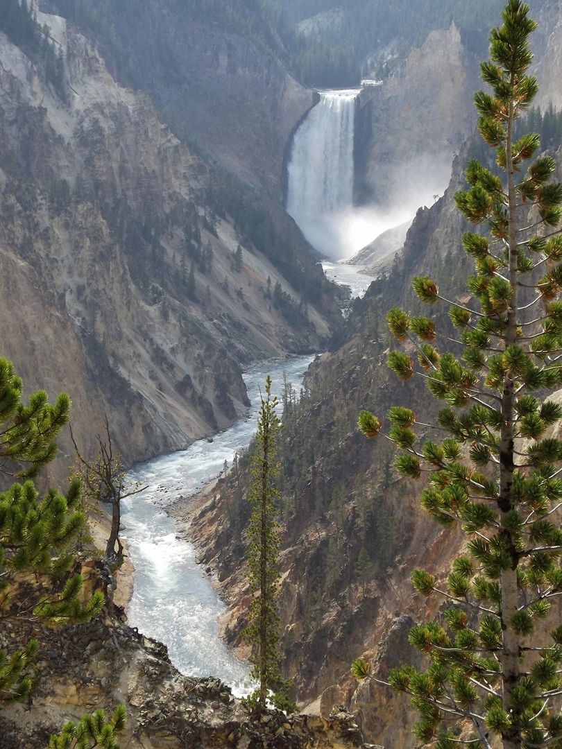 Therapy - Regina Colangelo, LCSW