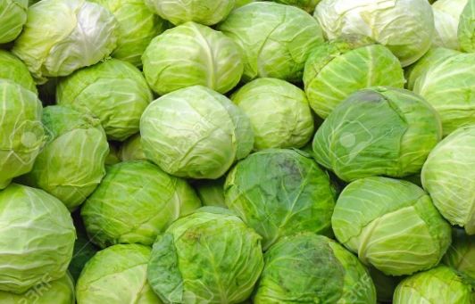 Cabbage 50 lbs.