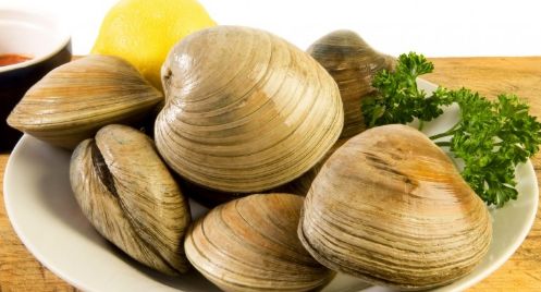 Middle Neck Clams (50 Count) $25 Deposit Required