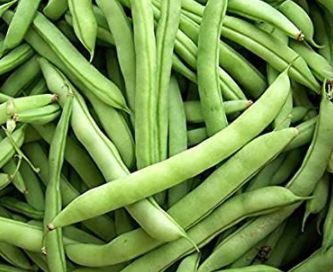 White Half Runners Beans (Bushel)