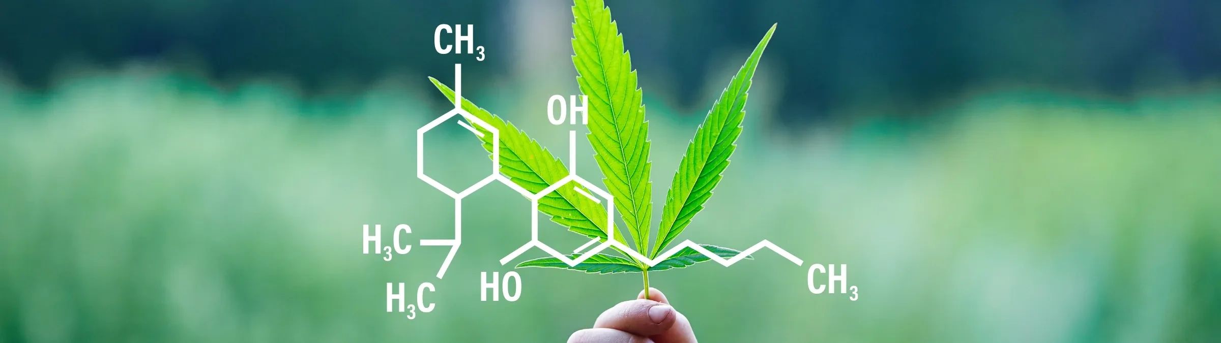 Ky CBD FARMacy - Cbd - Lexington, Kentucky