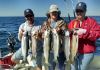 HOME | CHUM BUCKET CHARTERS
