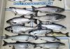 HOME | CHUM BUCKET CHARTERS