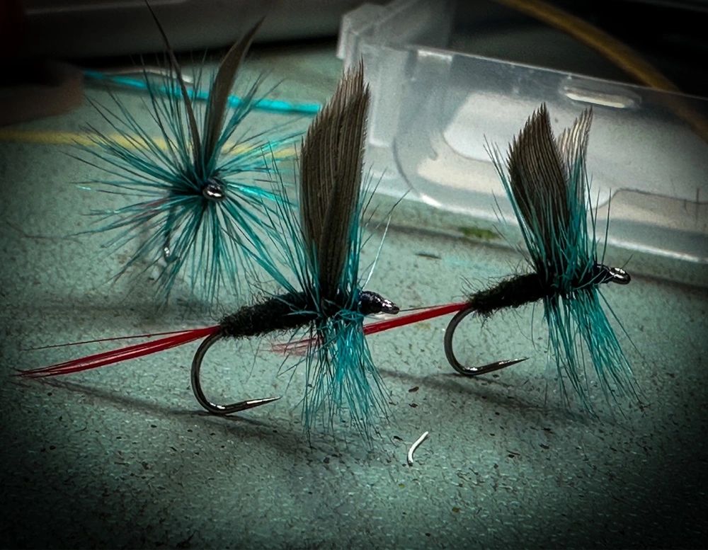 Black Gnat Red Tail Blue Hackle