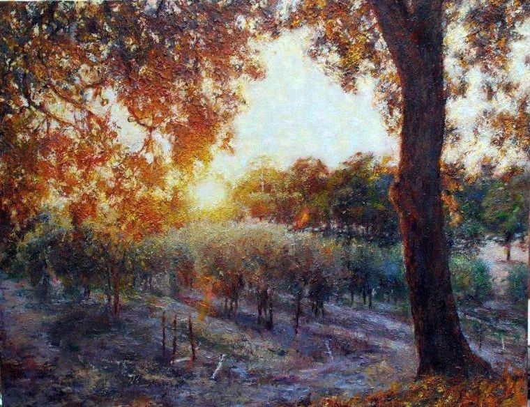 View the Gallery - Diane Crago