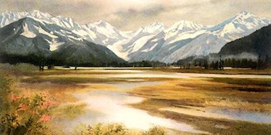 N. Taylor Stonington