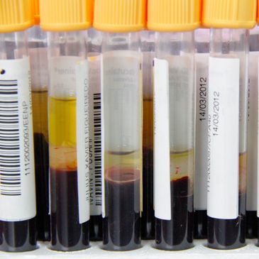 Clinical Diagnostic Centre