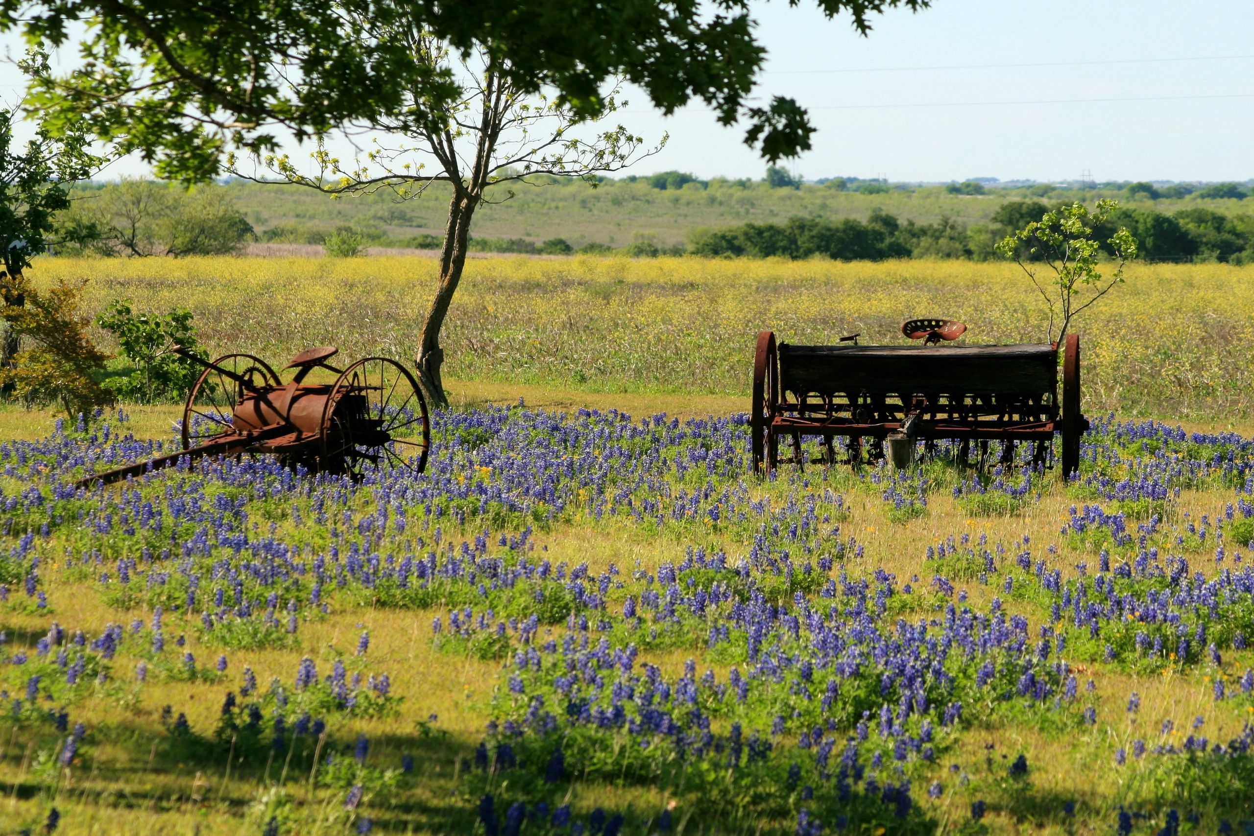 City of Garrett - Government Services - Ennis, Texas