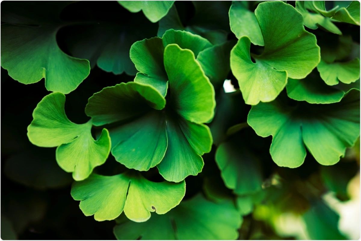 Ginkgo Tree Therapy Sex Therapy Mental Health