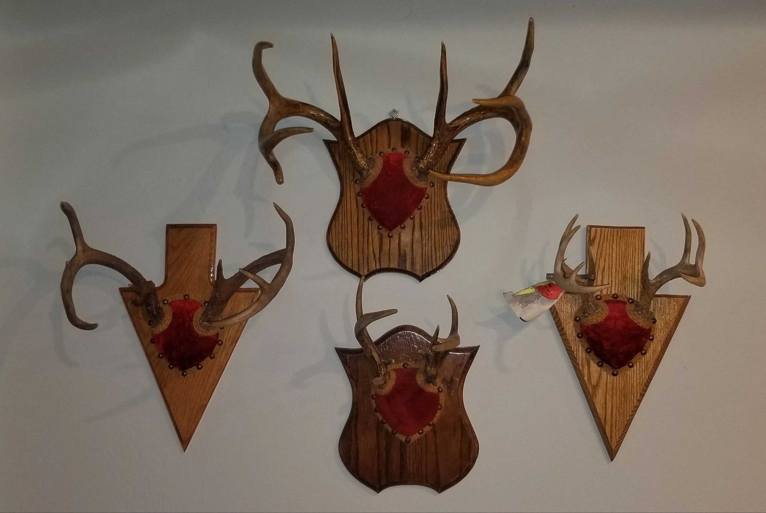 Grandpas Custom Antler Mounting