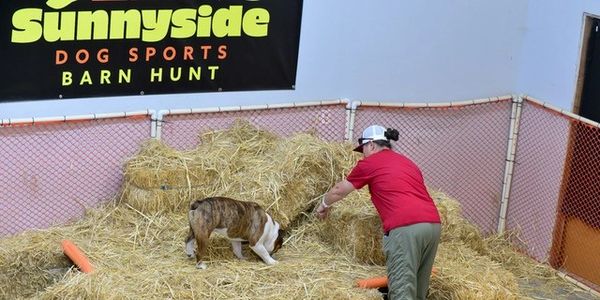 Sunnyside Dog Sports