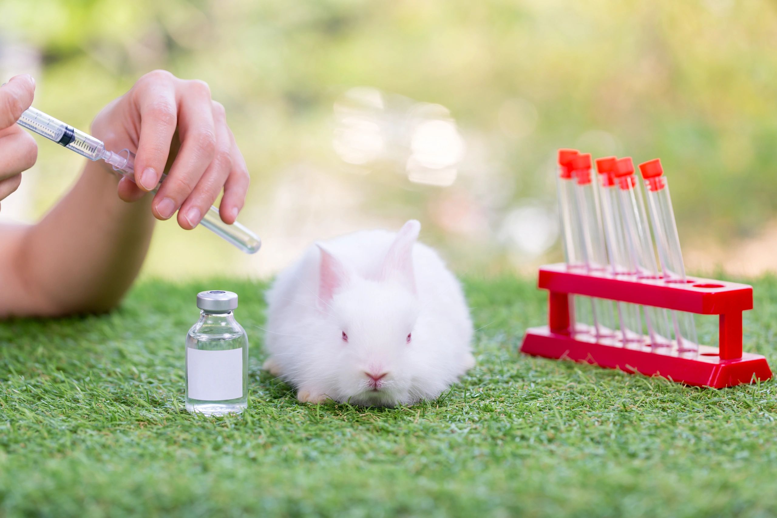 Beyond Beauty: The Ethical Imperative to End Animal Testing