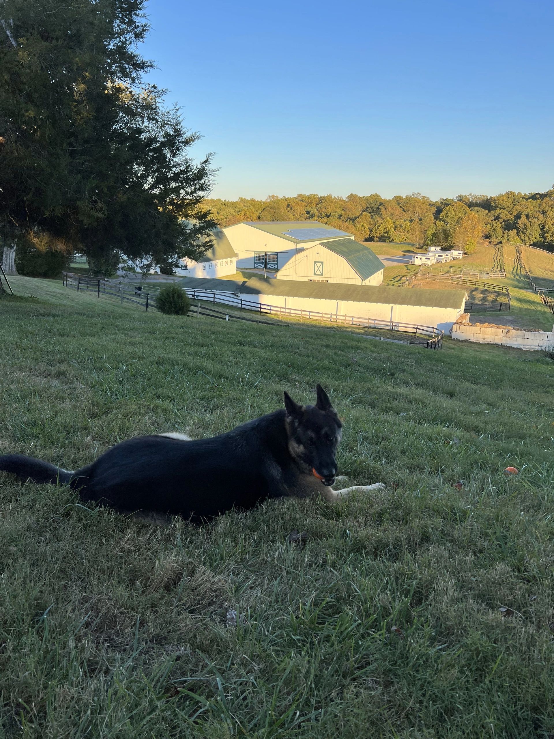 Monarch Stables at Friends Choice Farm