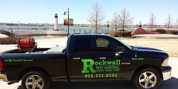 Rockwall Pest Control - Rockwall Pest Control, Termites
