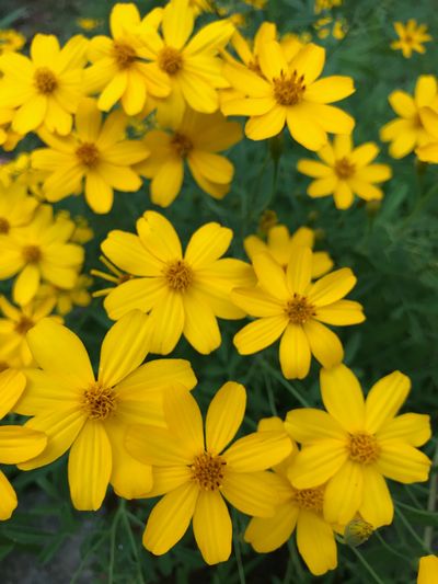 Visitor Information | Cedar Lakes Woods and Gardens