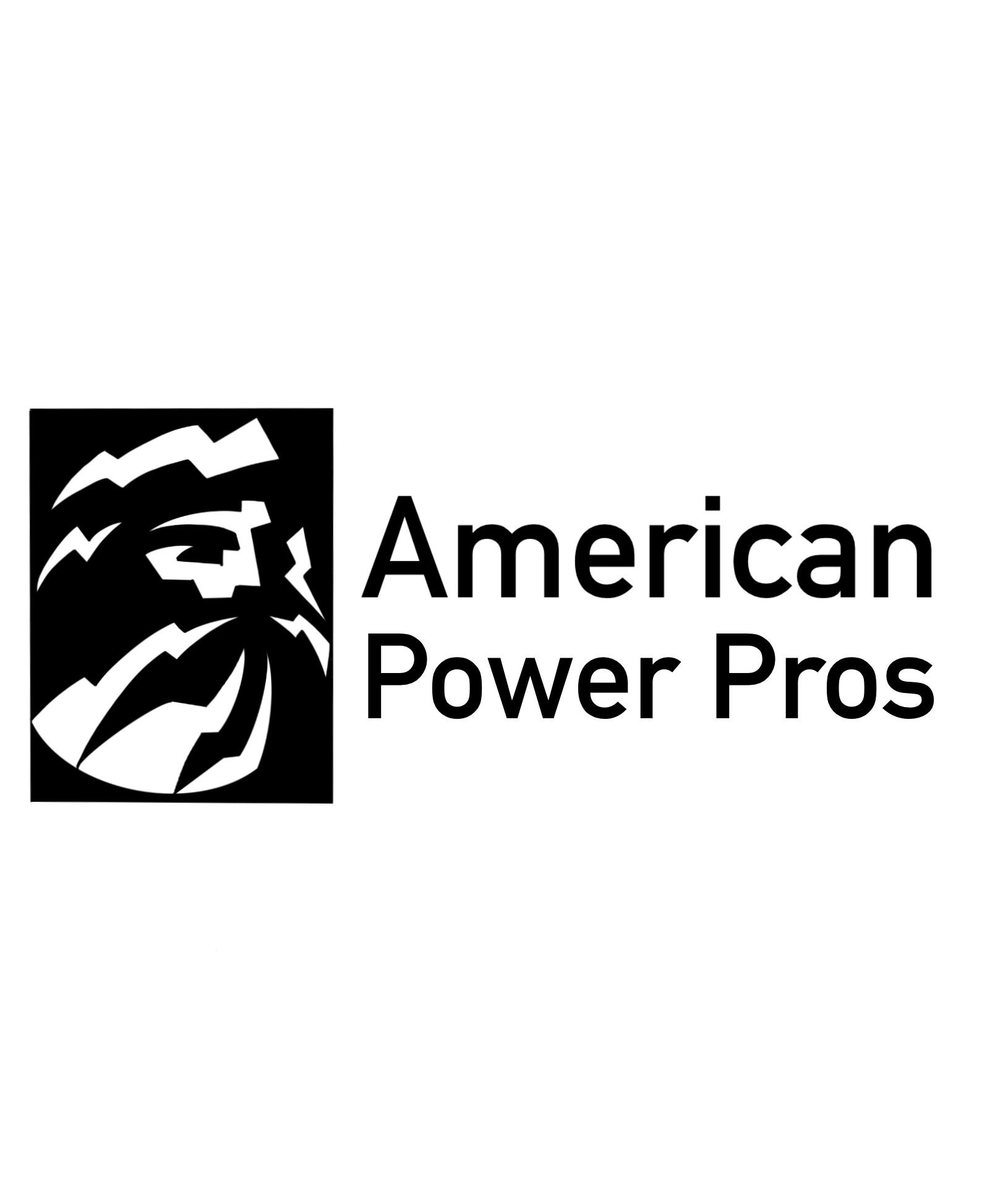American Power Protection