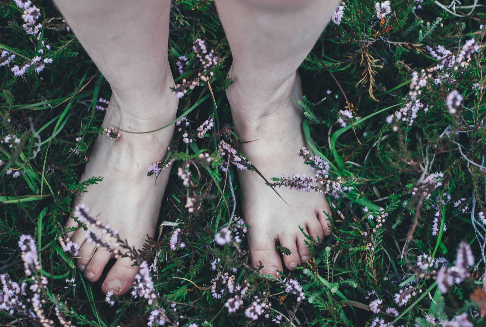 Welcome! | Movement Foundations