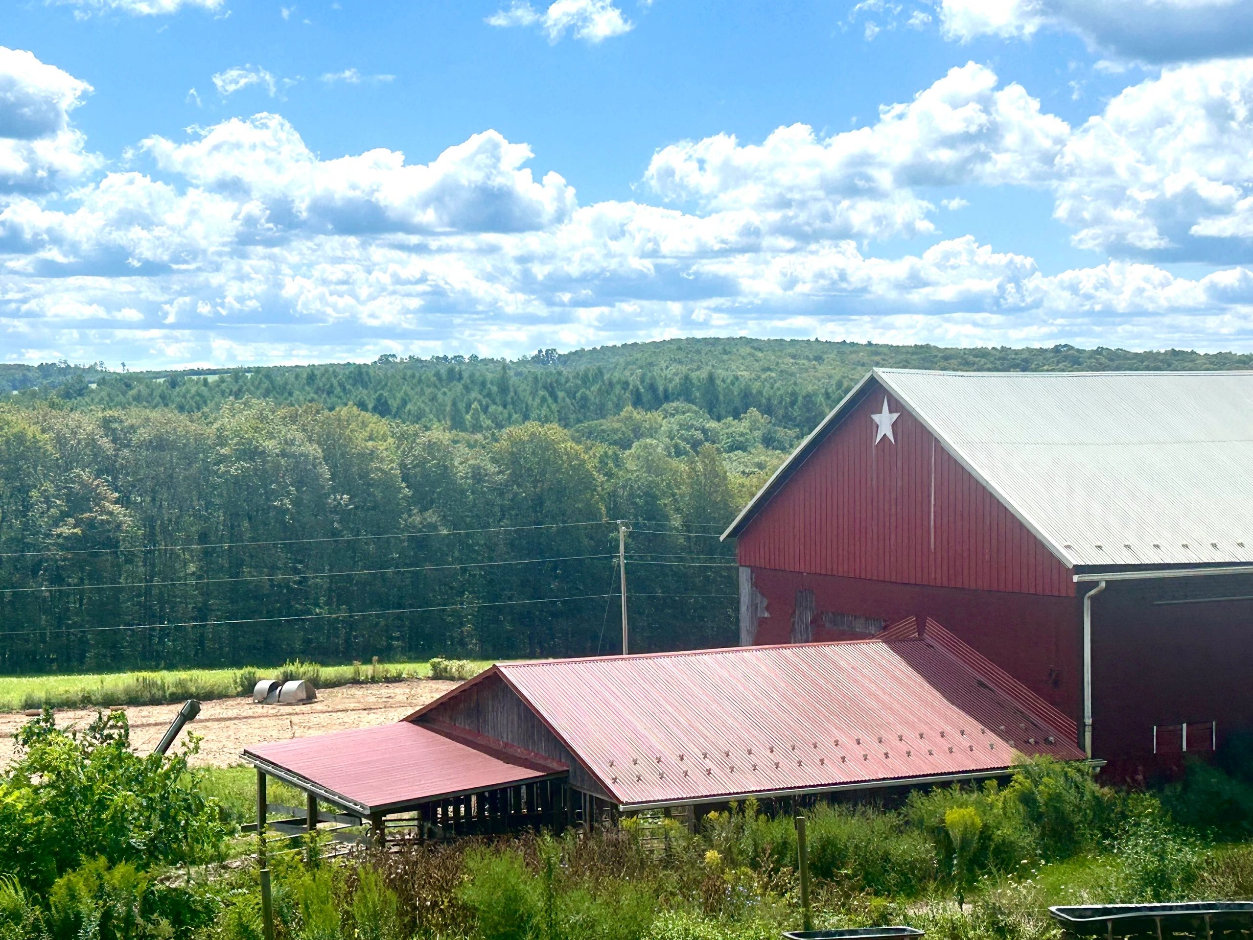 Sand Springs Mountain Farm