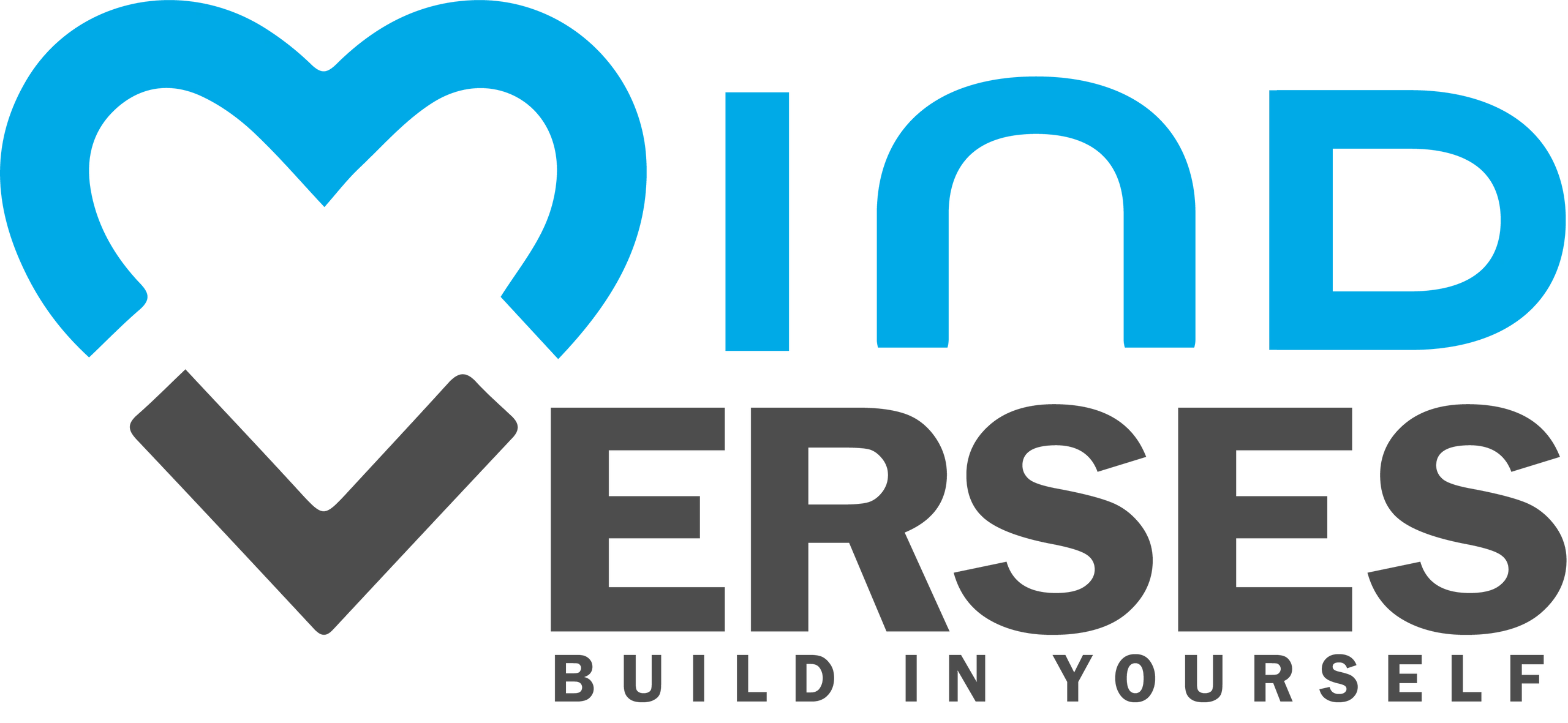 Stress Management & Resilience Workshop - Mind Verses