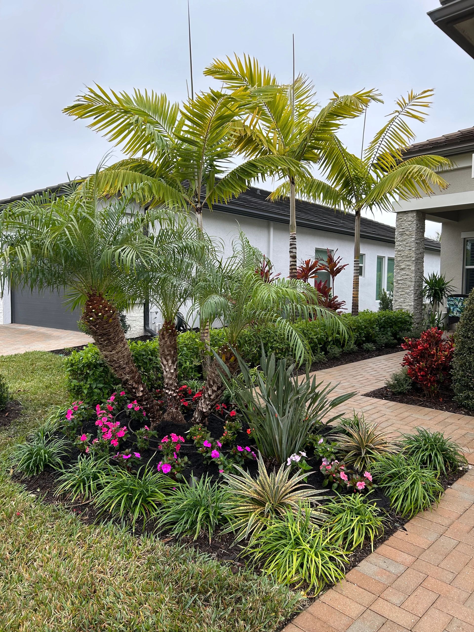 Landscaping Transformation with Aim to Please Landscapes