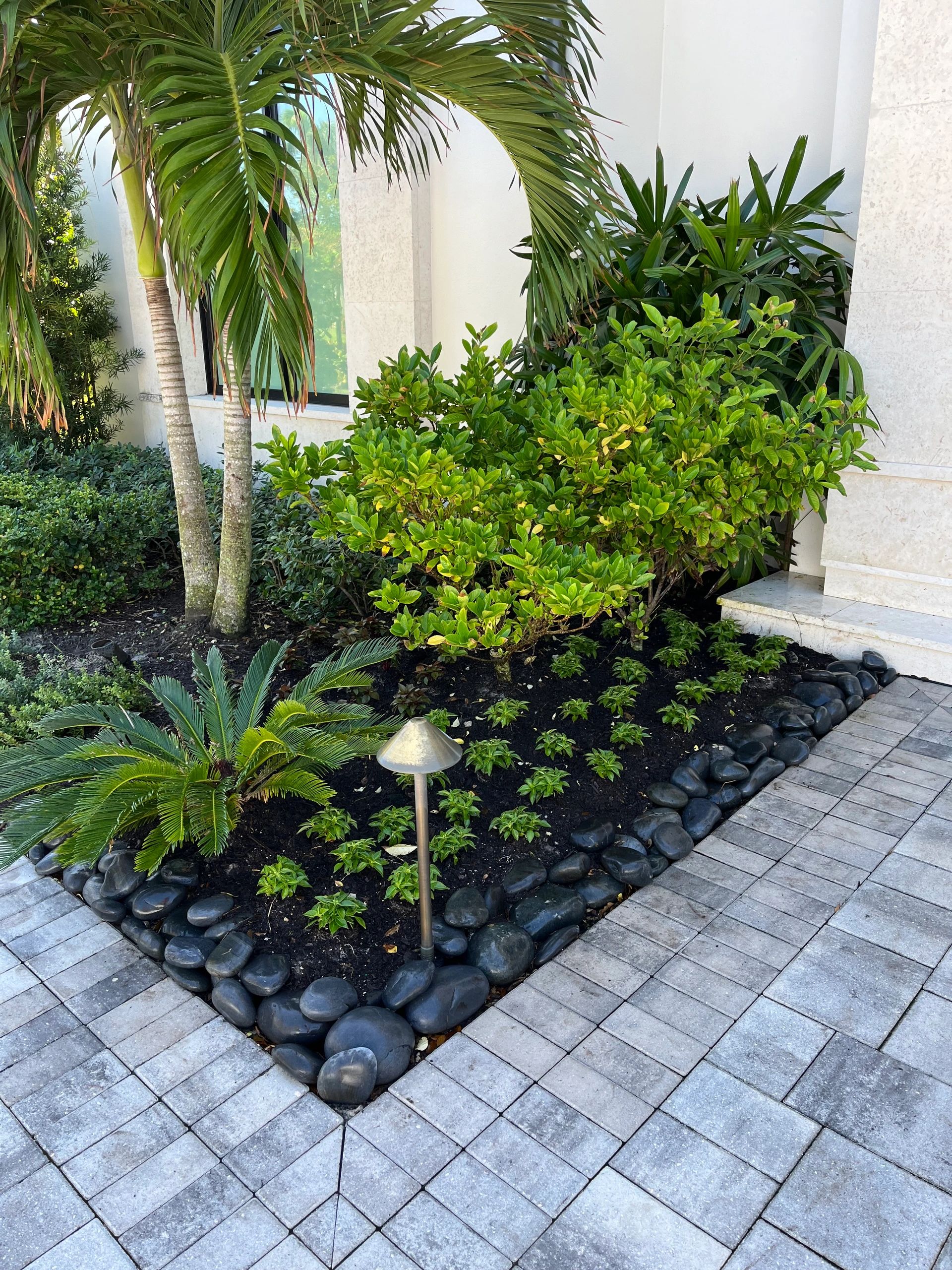 Top 10 Landscaping Trends For 2025 Transform Your Outdoor Space