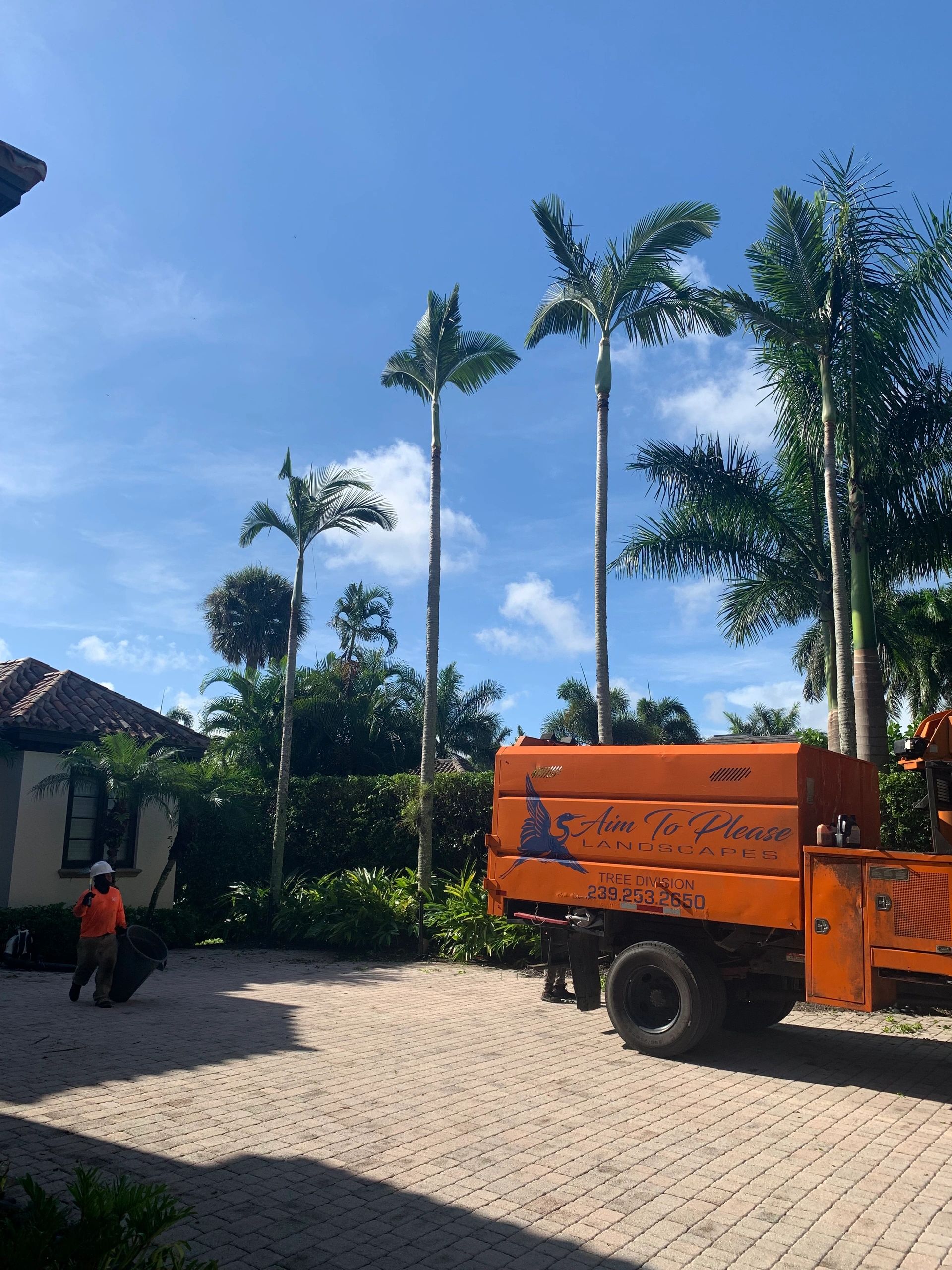 The Importance of Hurricane Tree Trimming