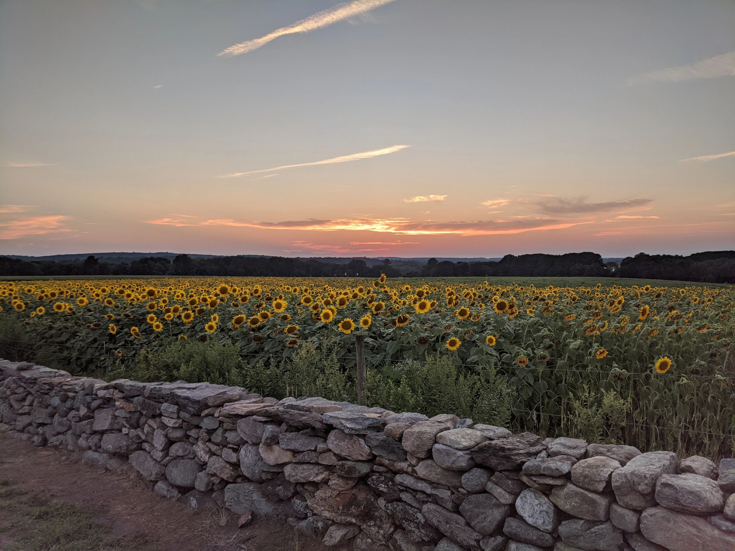 Diana Rock - Romance, Writer, Small Town Romance